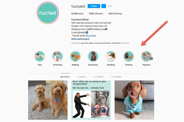 7 Memorable Instagram Marketing Examples for eCommerce Success