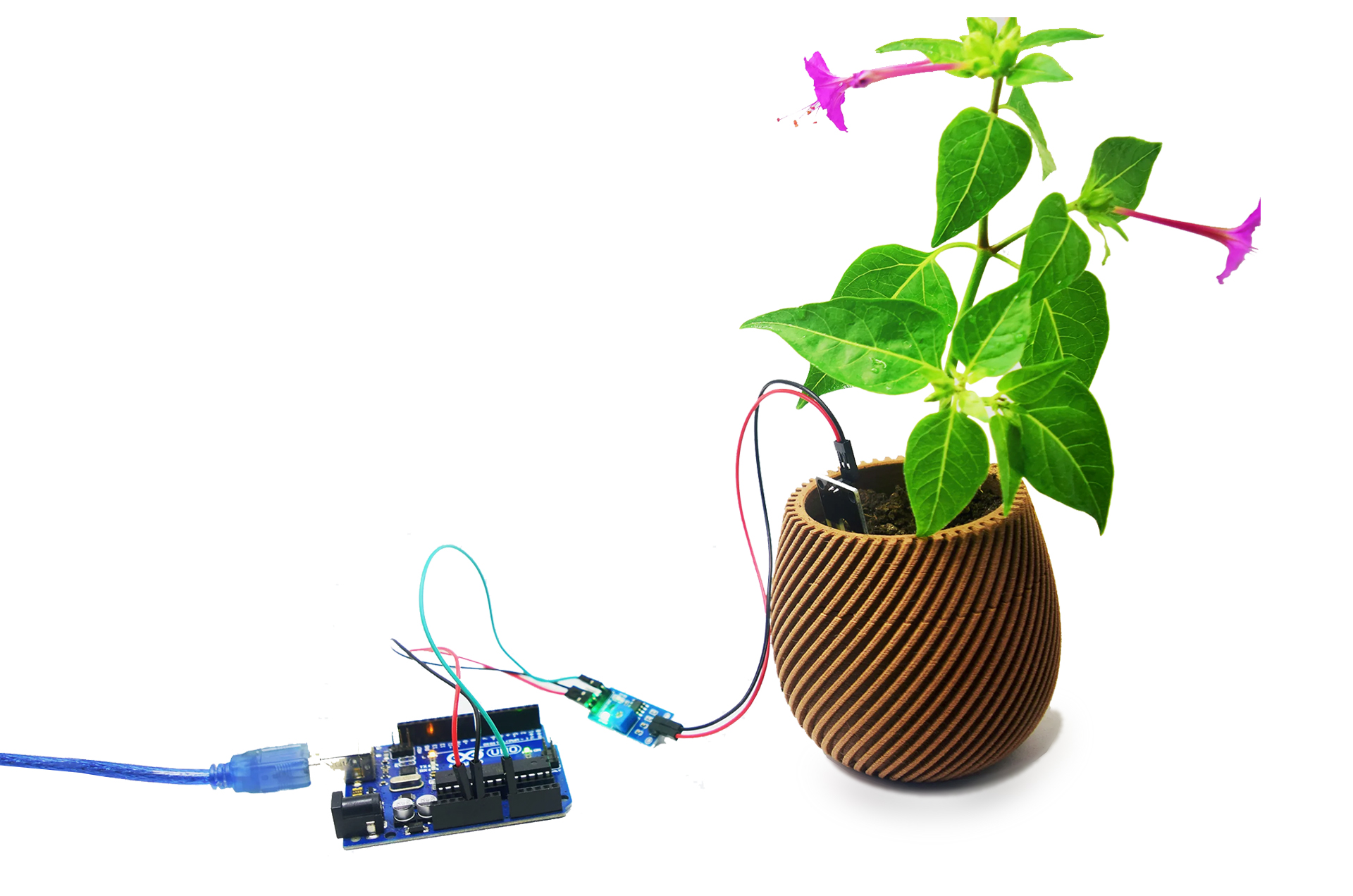 Voltaat Learn - Detect noise levels using a sound sensor