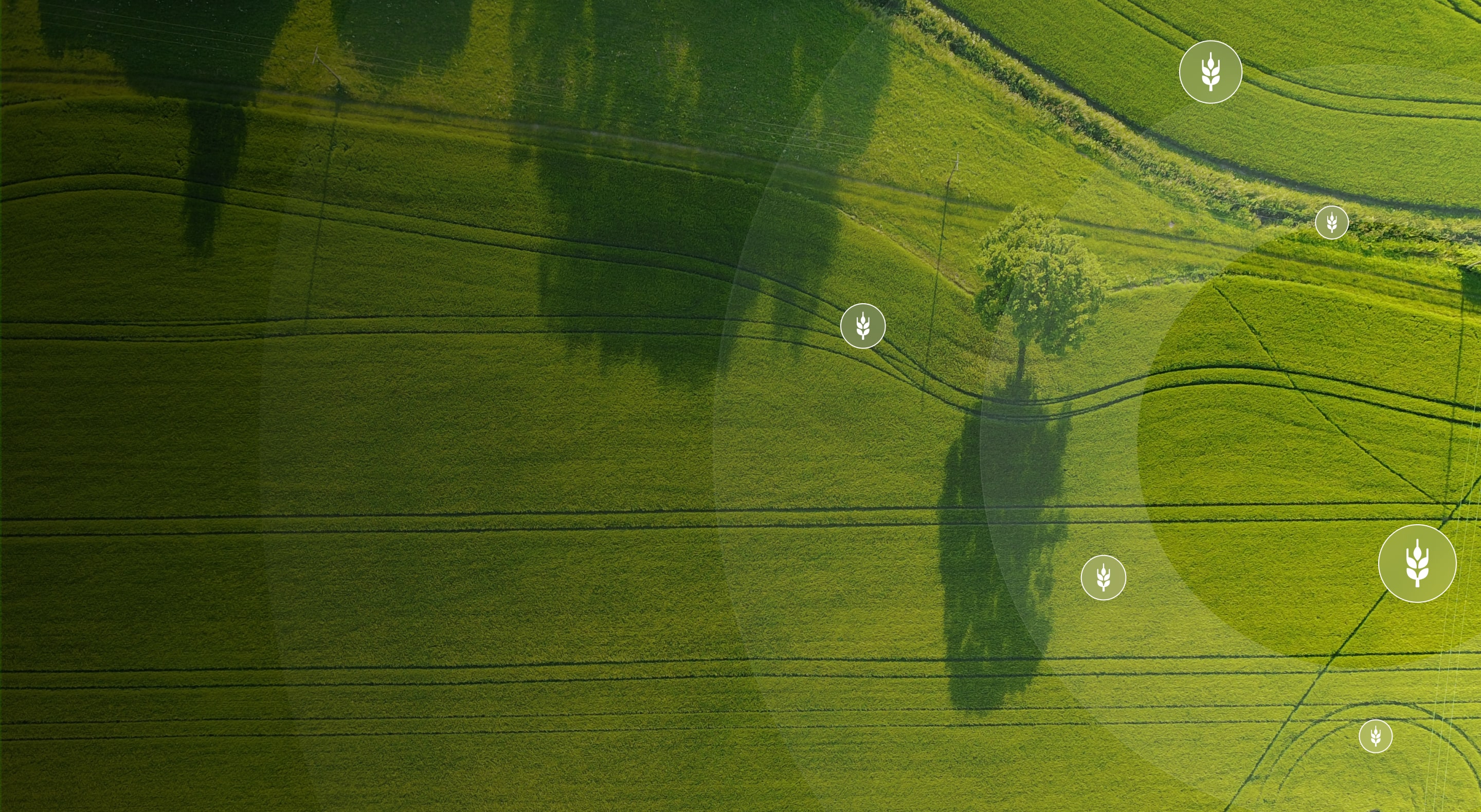 GreenSync - Transforming Agriculture with AI-Powered Data Integration & Sustainability