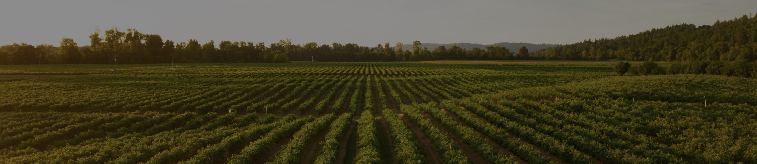 GreenSync - Transforming Agriculture with AI-Powered Data Integration ...