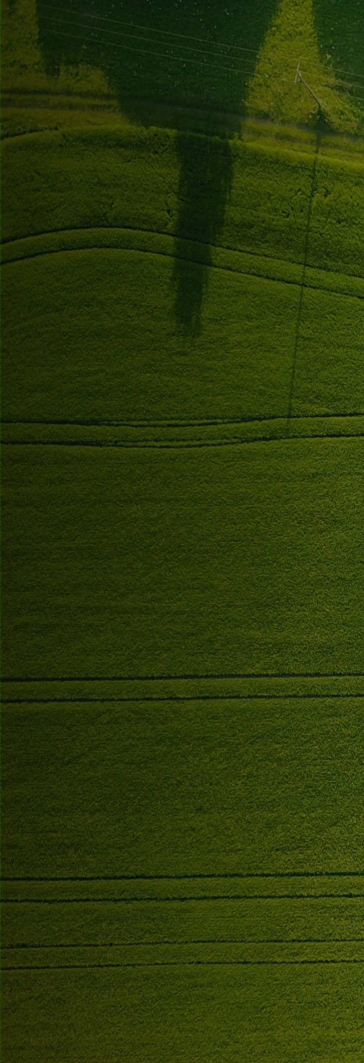 GreenSync - Transforming Agriculture with AI-Powered Data Integration ...