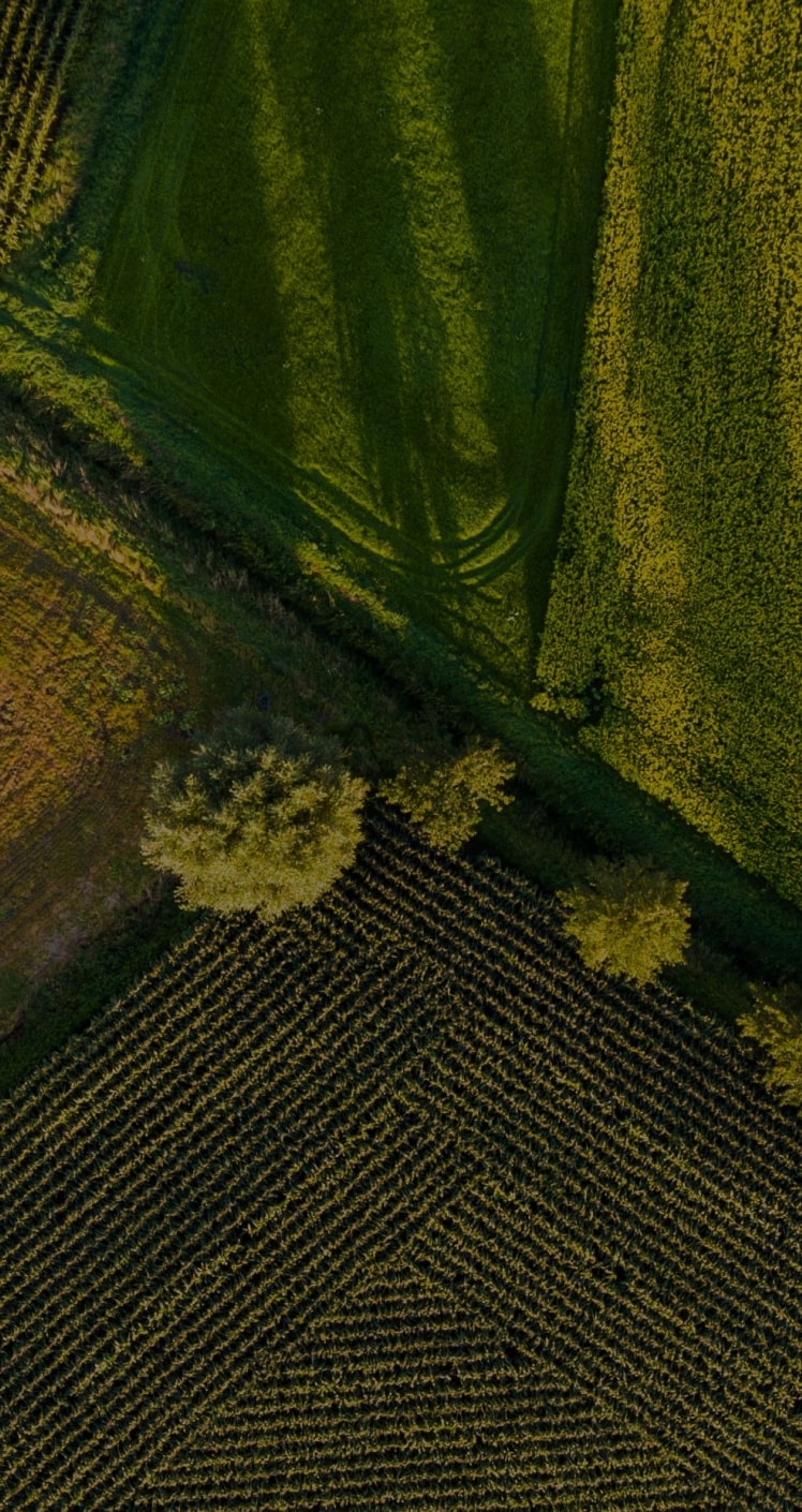 GreenSync - Transforming Agriculture with AI-Powered Data Integration ...