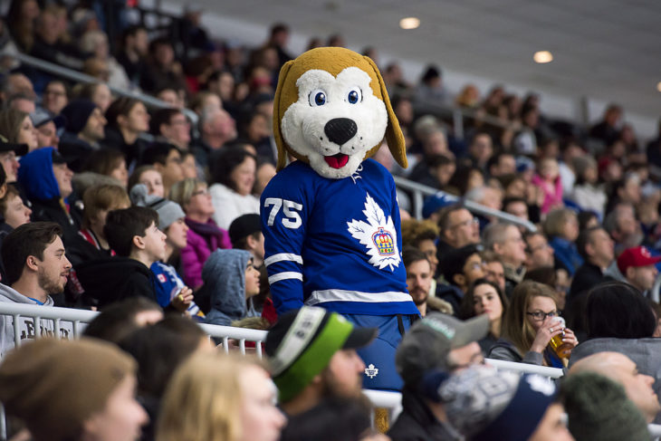 Duke The Dog Appearance