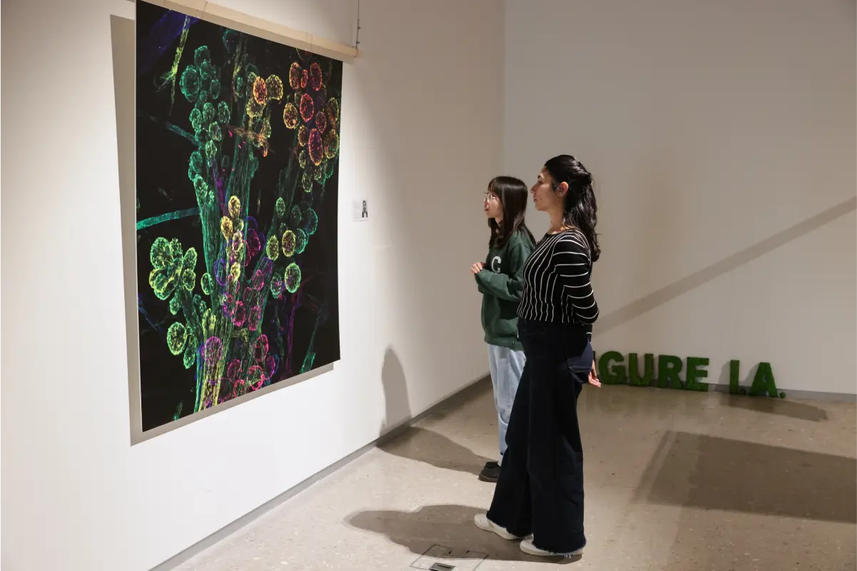 Center for imaging