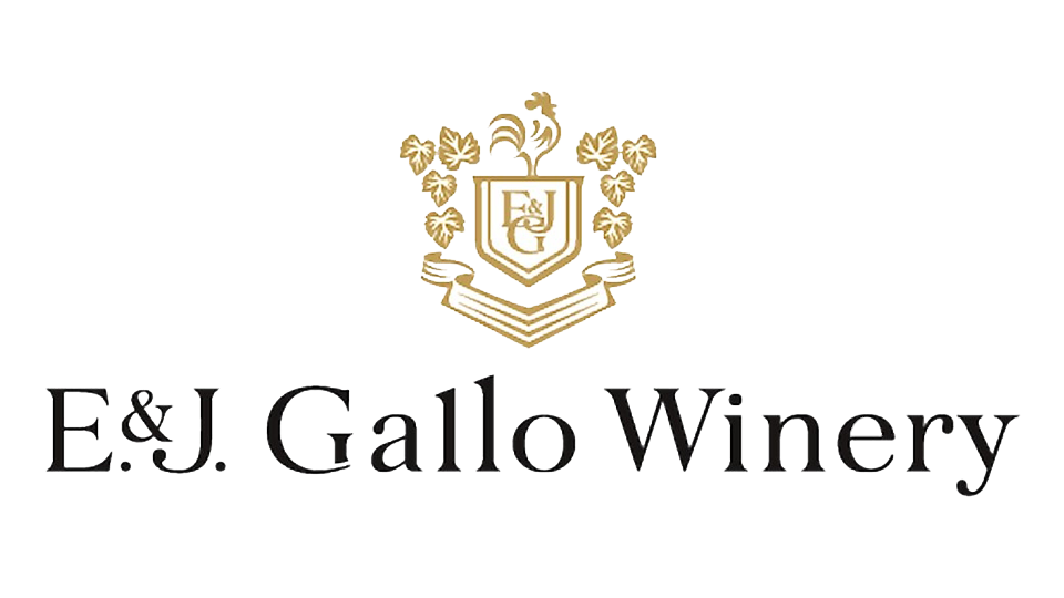 Cogent Infotech | Home