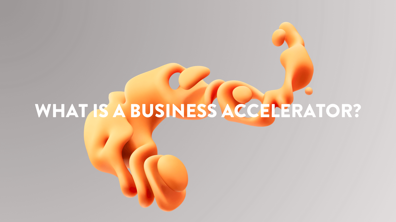 What is a Business Accelerator?