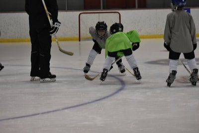 Enfield Twin Rinks - About us