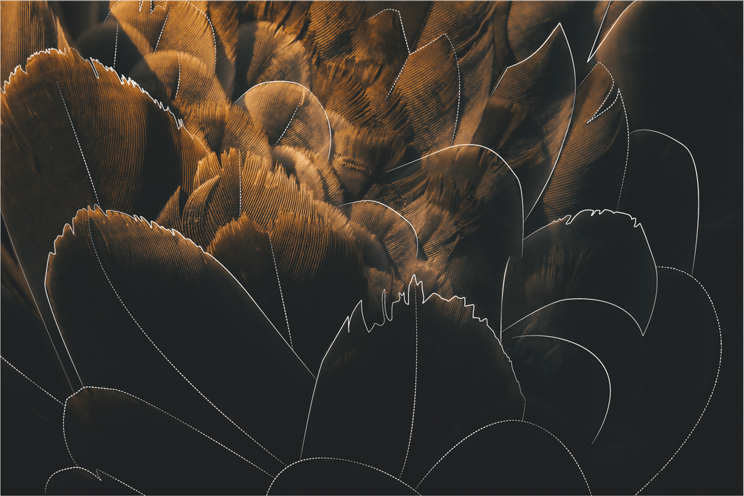 natcap — the nature intelligence company