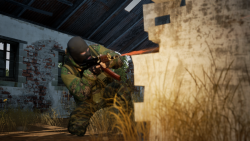 Irregular Militia Forces Spotlight