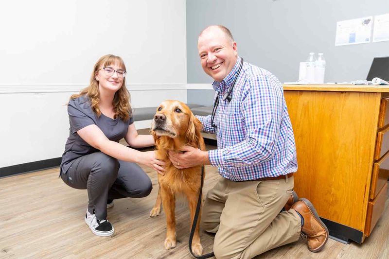 High-Quality Vet Hospital in Fort Collins, CO | Harmony Road Veterinary ...