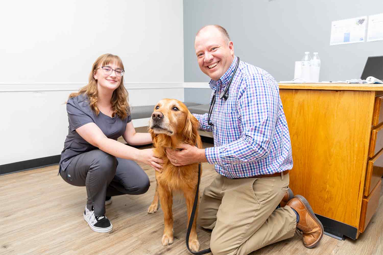 High-Quality Vet Hospital in Fort Collins, CO | Harmony Road Veterinary ...