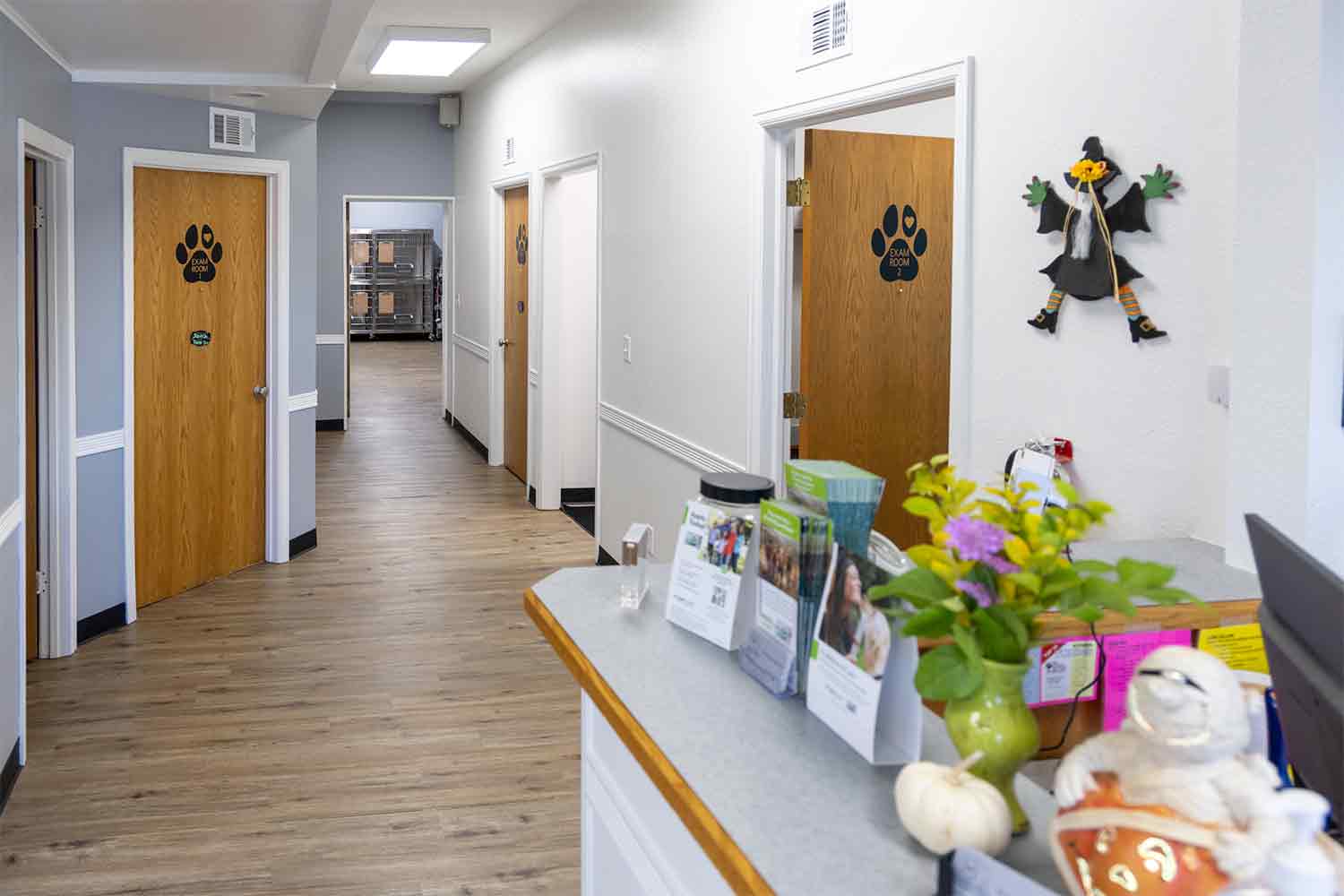 High-Quality Vet Hospital in Fort Collins, CO | Harmony Road Veterinary ...