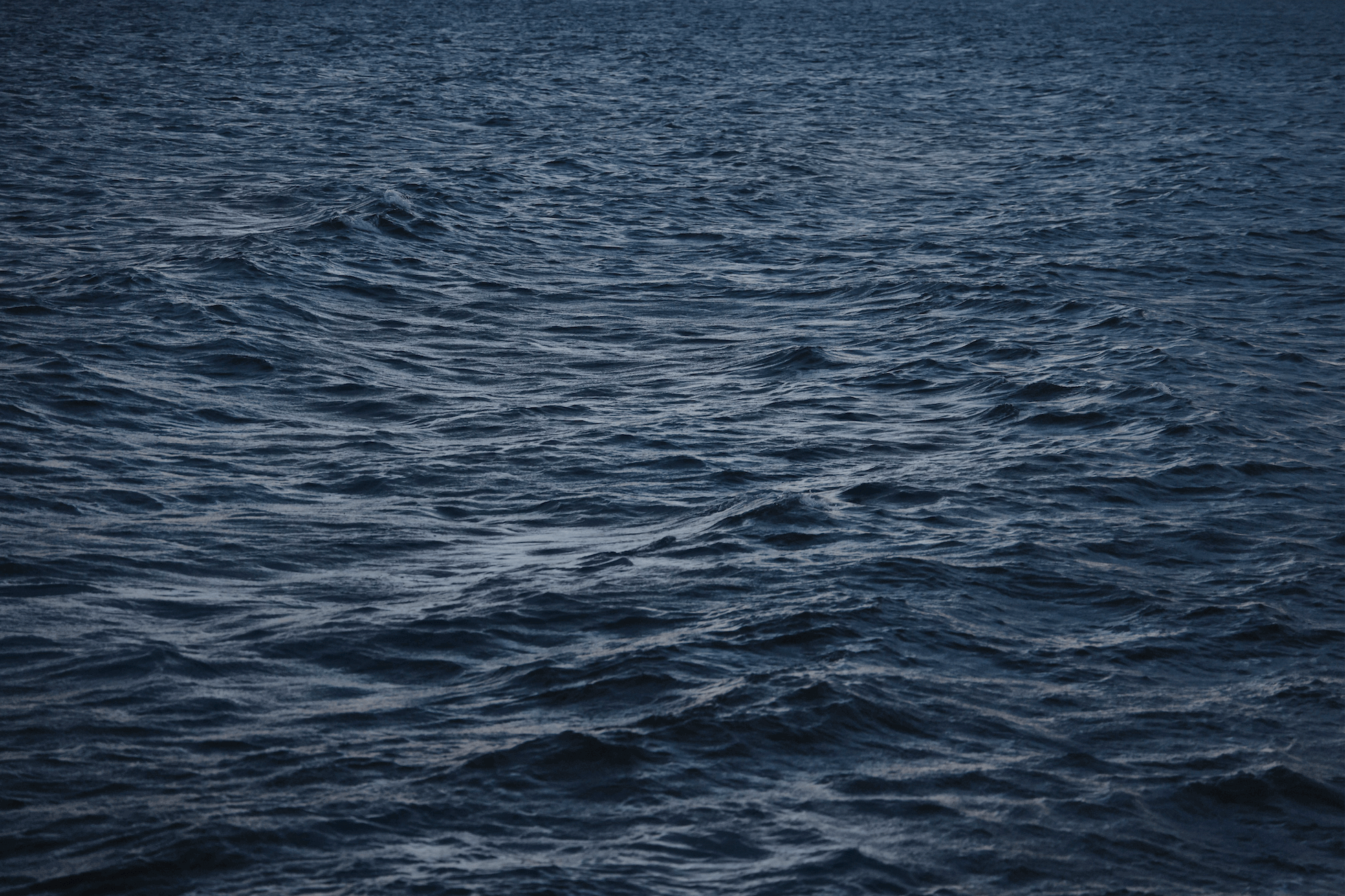 "Movement No.4" By Nio Vardan - STUDIO BALESTRA