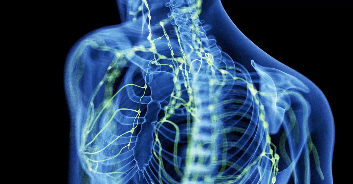 Home | Stiftung Lympha-Helvetica