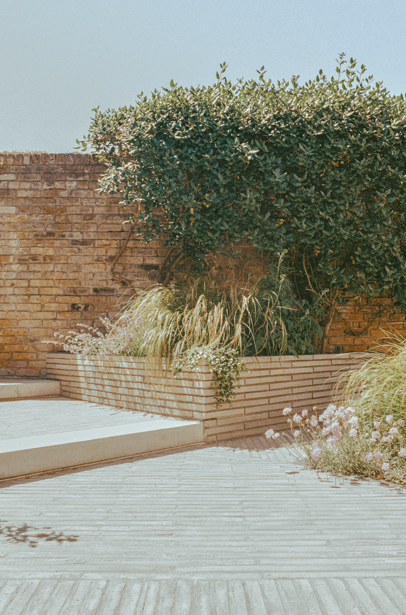 pensaer. | the plantation.