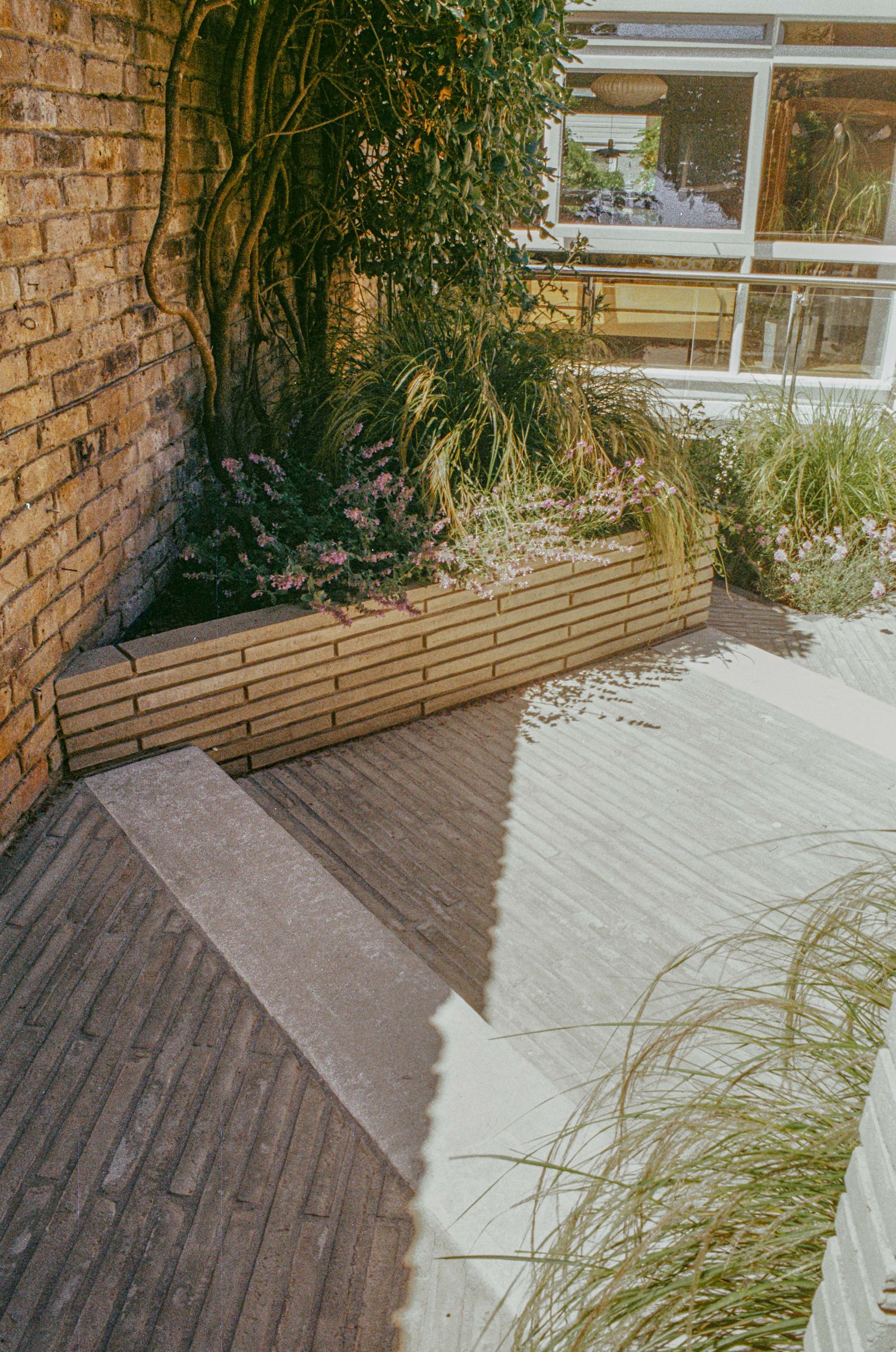 pensaer. | the plantation.