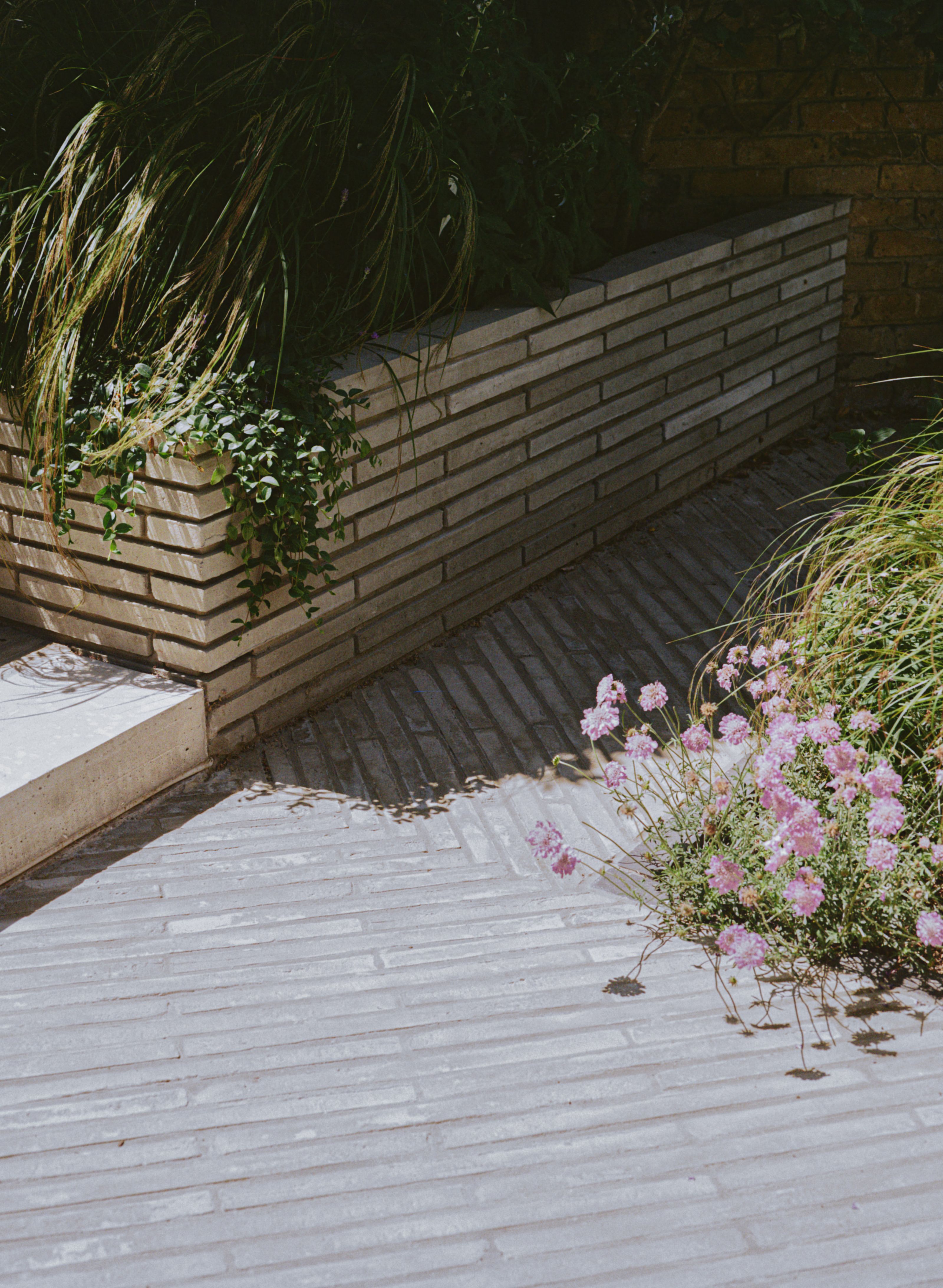 pensaer. | the plantation.