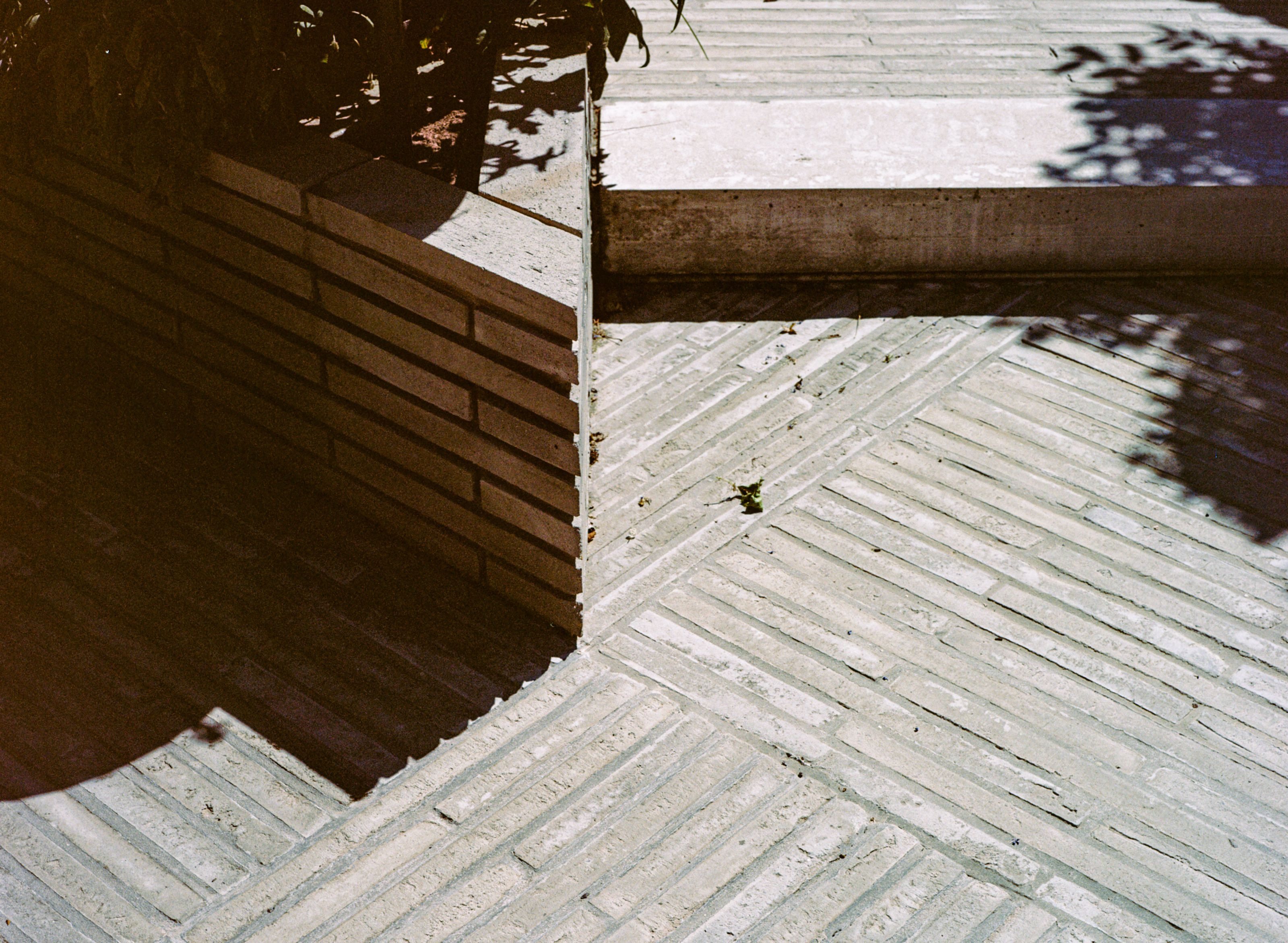 pensaer. | the plantation.