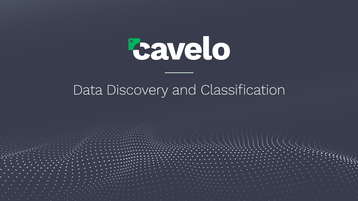 Data Discovery | Cavelo Platform