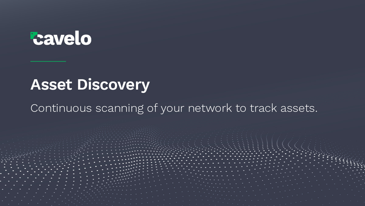 Asset Discovery | Cavelo Platform