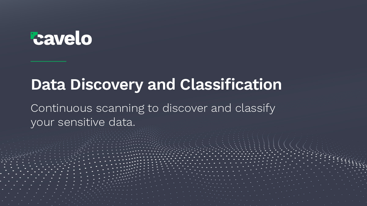 Data Discovery | Cavelo Platform
