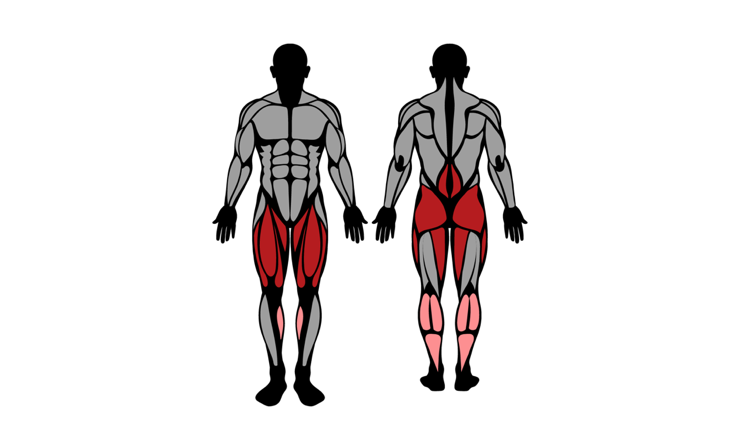 Spectrum Sports | Exercise Modification Series: Squats