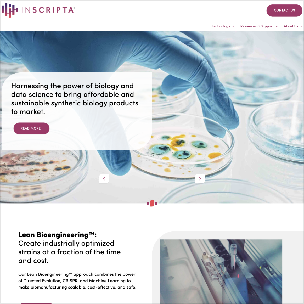 Inscripta | Oak HC/FT