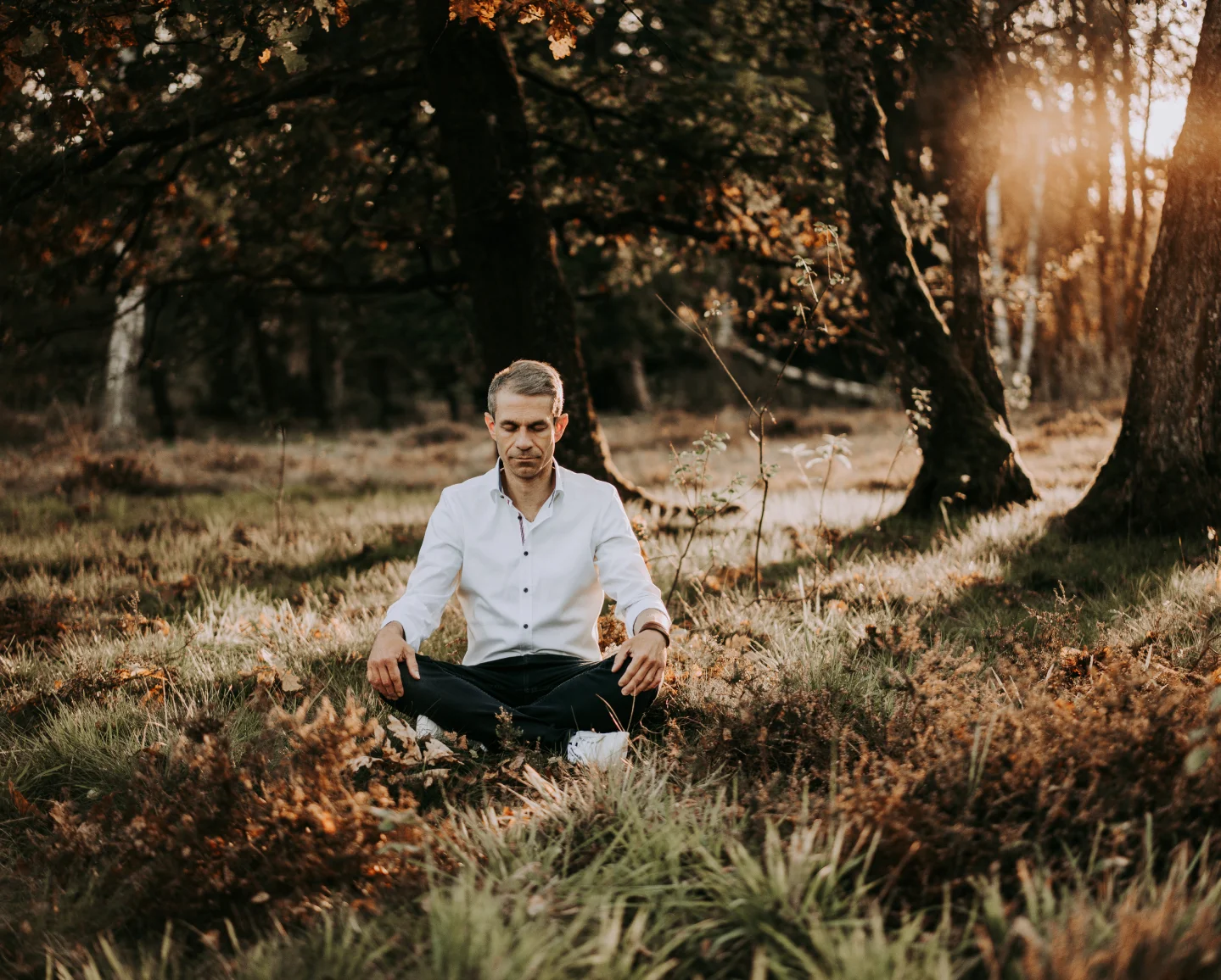 Martin Strohmenger - Offizielle Homepage