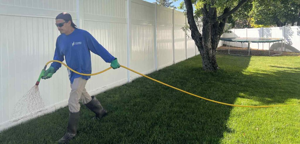 A Homeowner's Guide To Lawn Weeds In Utah