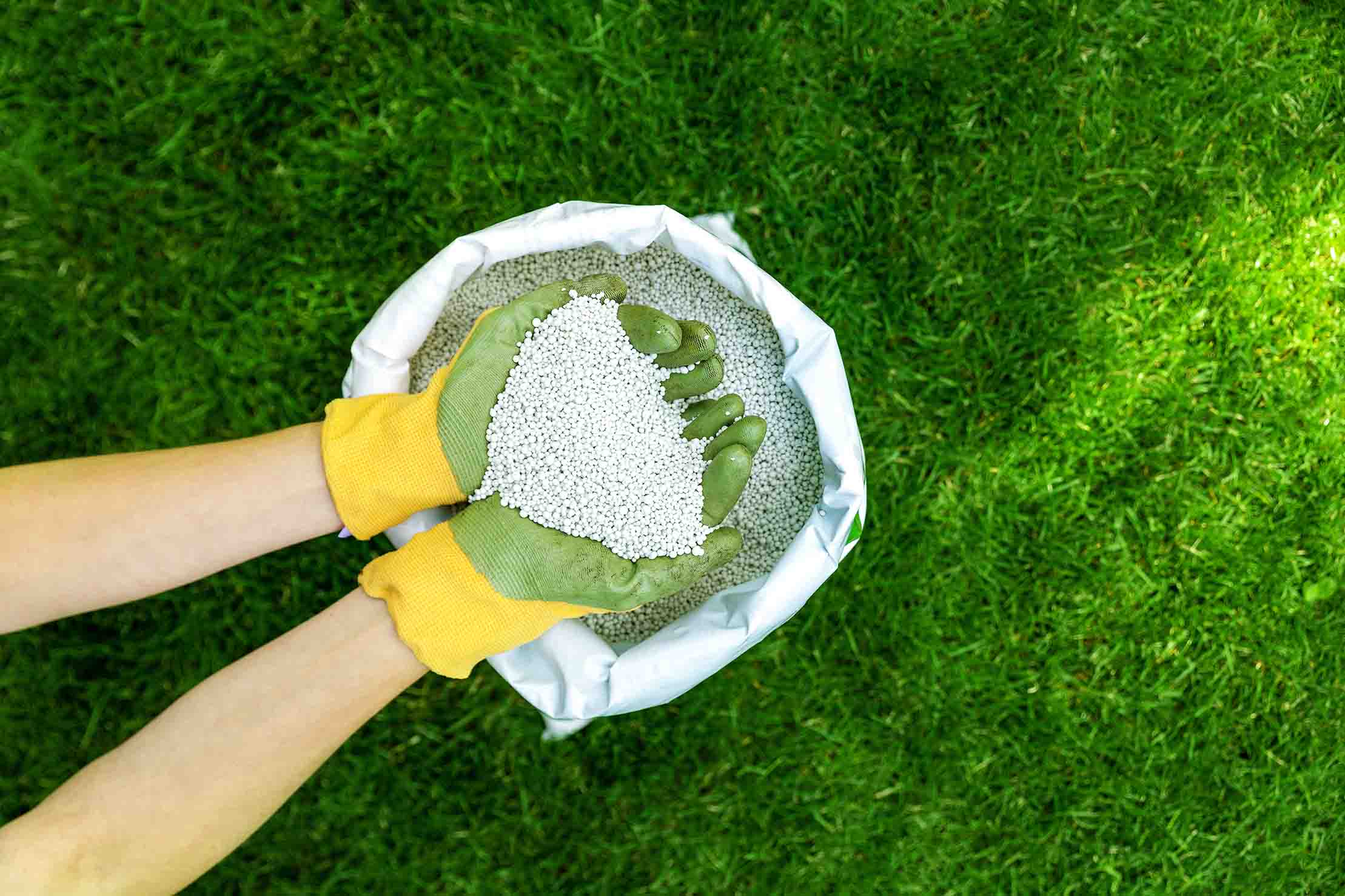 What Is Slow-Release Lawn Fertilizer?