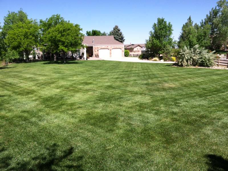 Best Salt lake City Lawn Fertilization