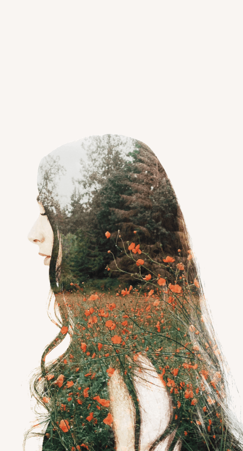 Afterlight Collective | Photo and Video editing on iOS