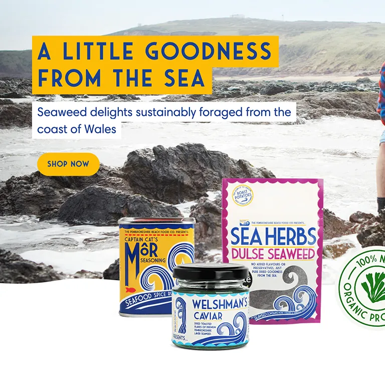 DC WEB - Website Design & Development.