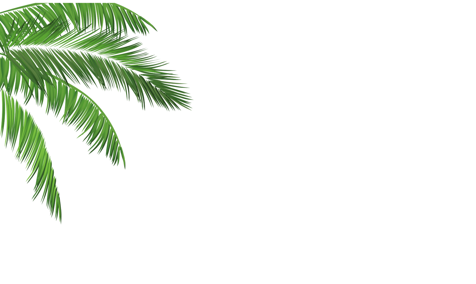 Splash Mob Pools | Pool Service