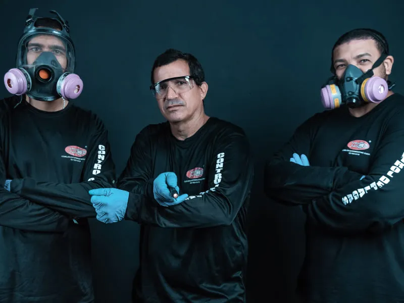 Comején Exterminating - Prevención y control de plagas para tu hogar o ...