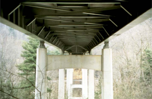 NSTM or Fracture Critical Bridges: Probing the Basics