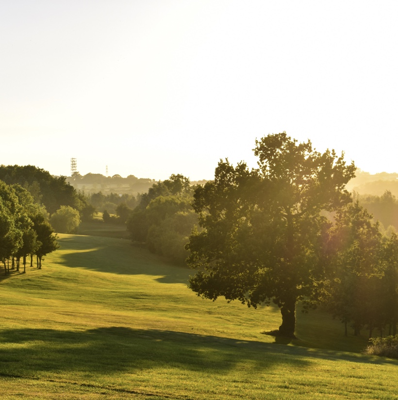 Camston Wrather - Why Choose Us