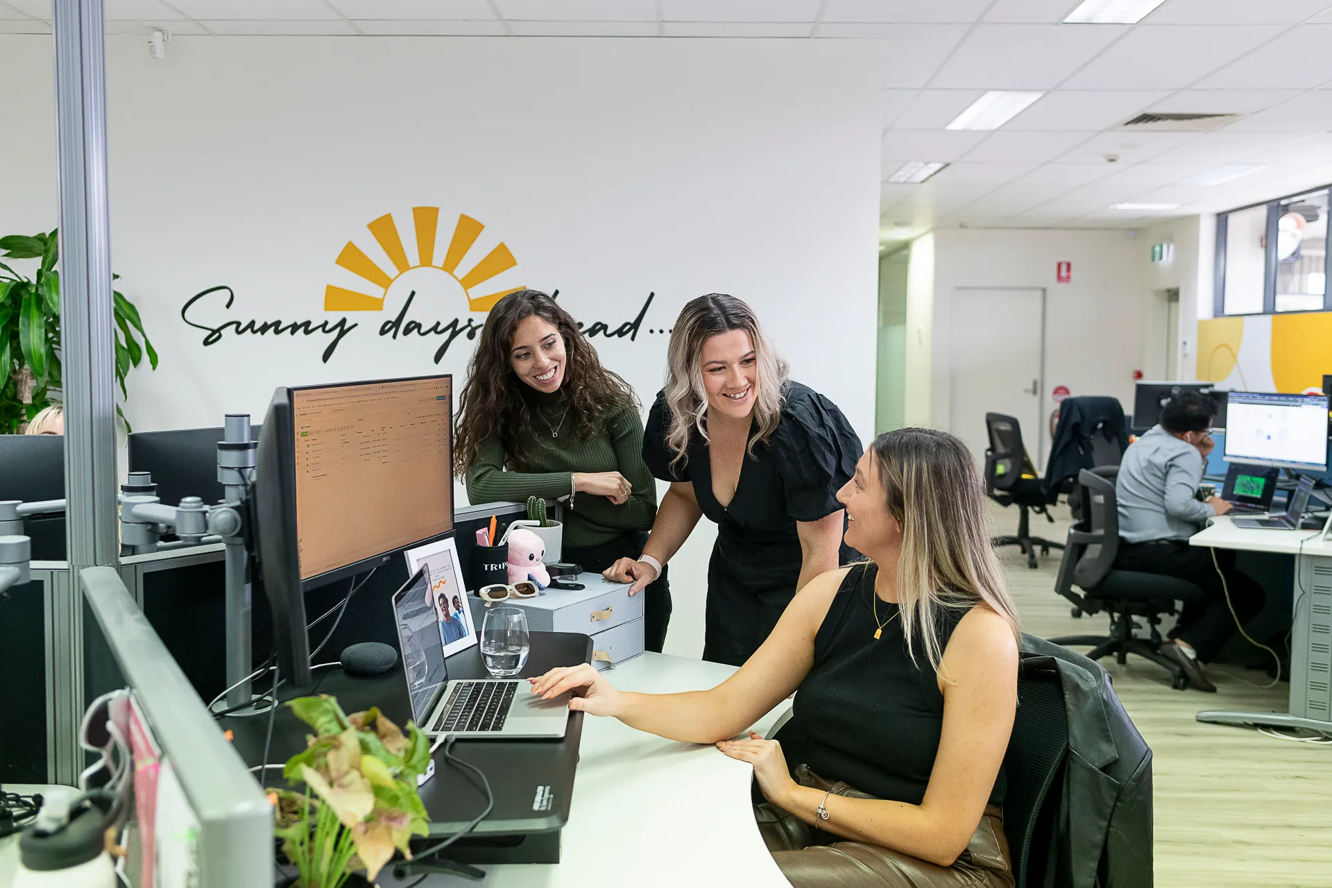 Performance Advertising Agency Sunshine Coast & Brisbane