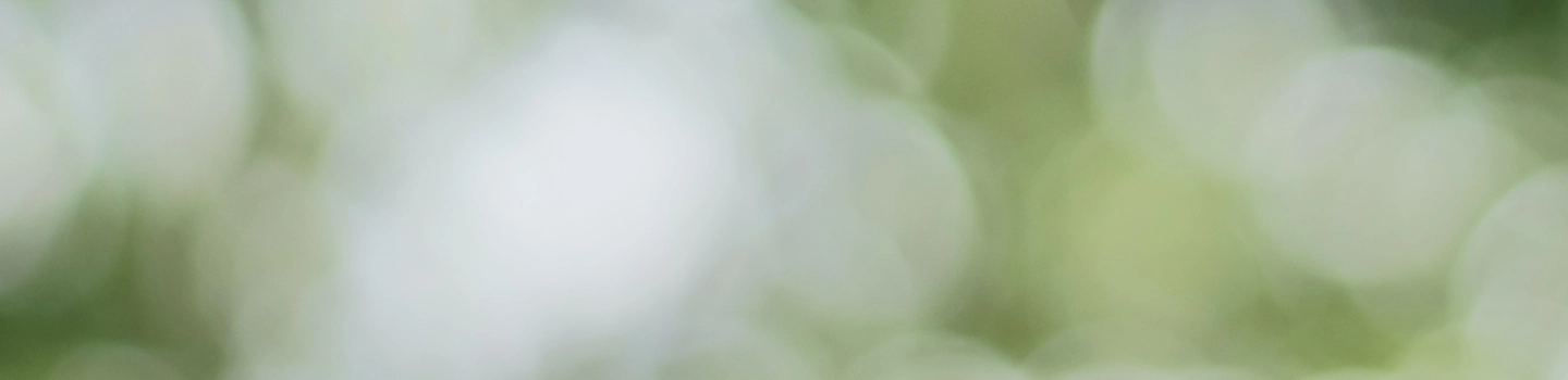 Forefront – Data & analytics