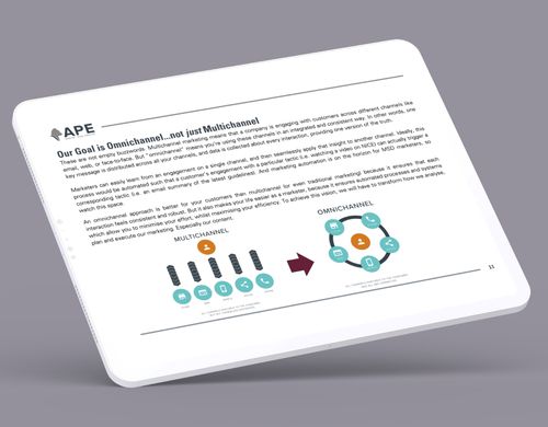 The Ape Book Omnichannel Strategy