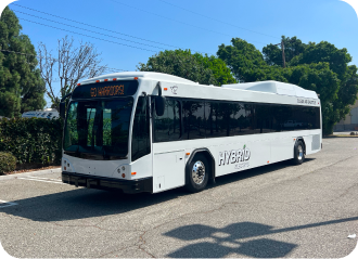 Spring Bird | Bus Leasing, Sales and Fleet Maintenance