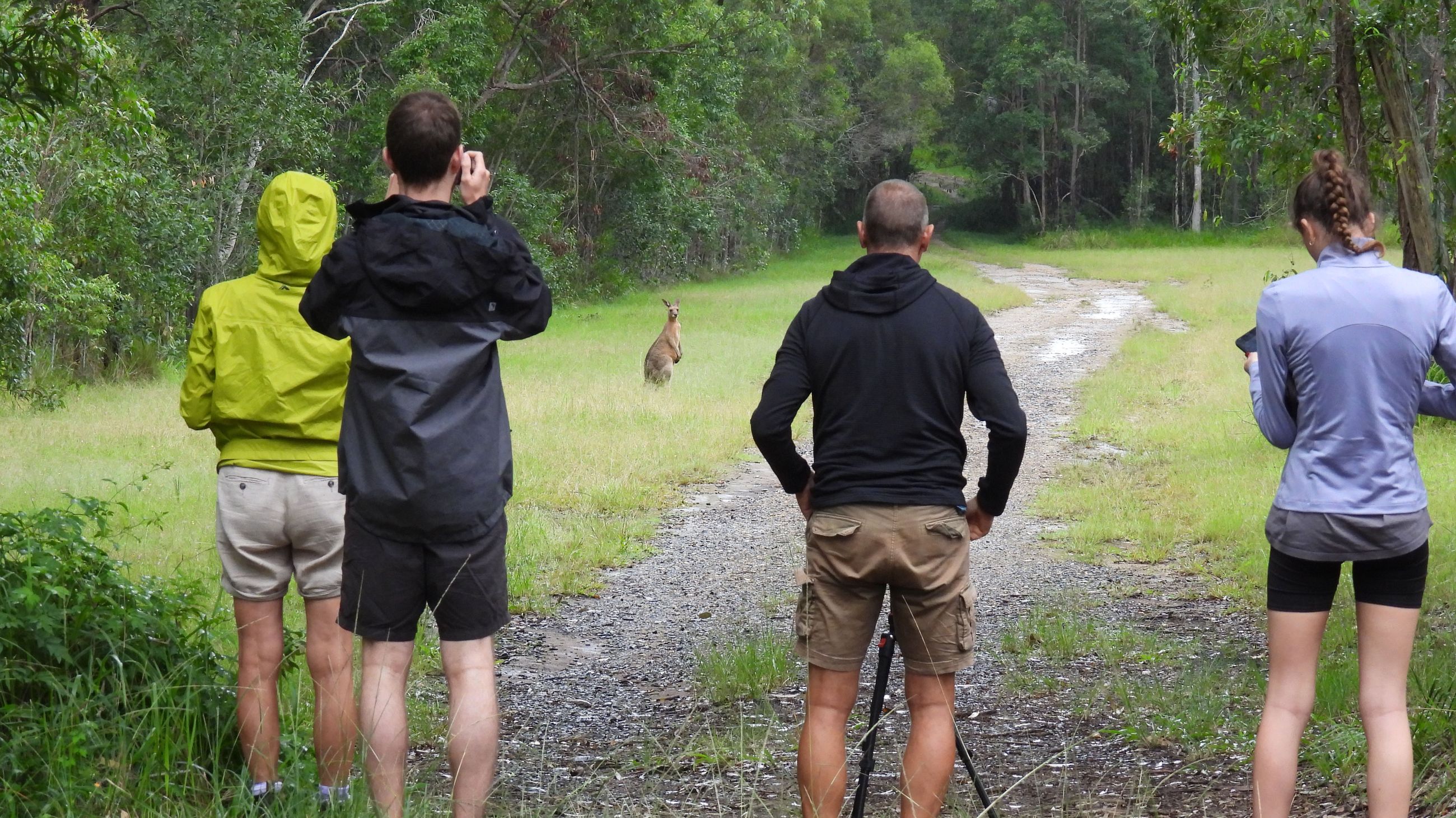 Vision Walks - Eco Tours - Byron Bay