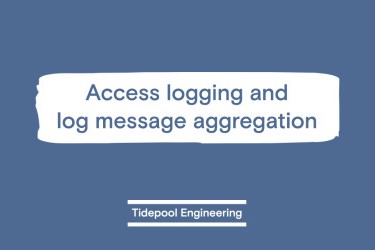 Access logging and log message aggregation | Tidepool blog