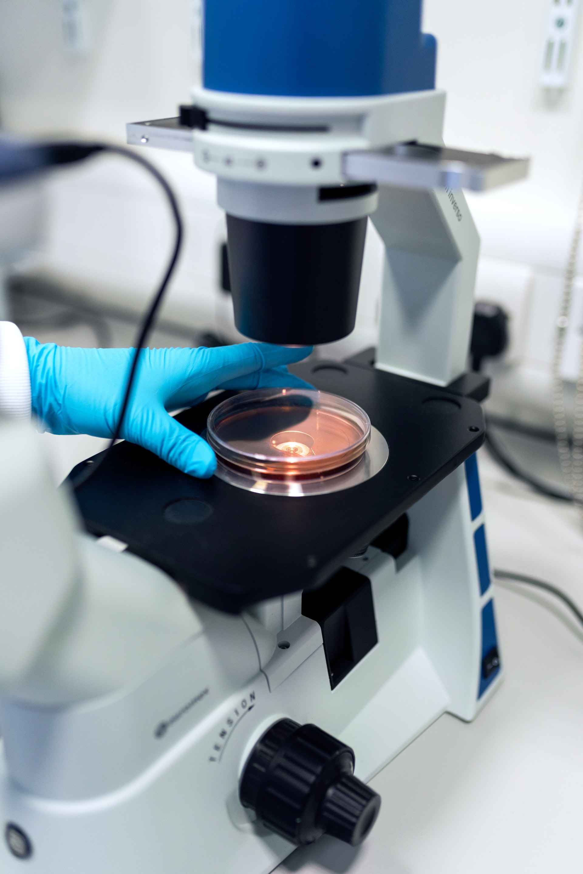 Yashraj Biotechnology Limited's Core Competencies | Why YBL