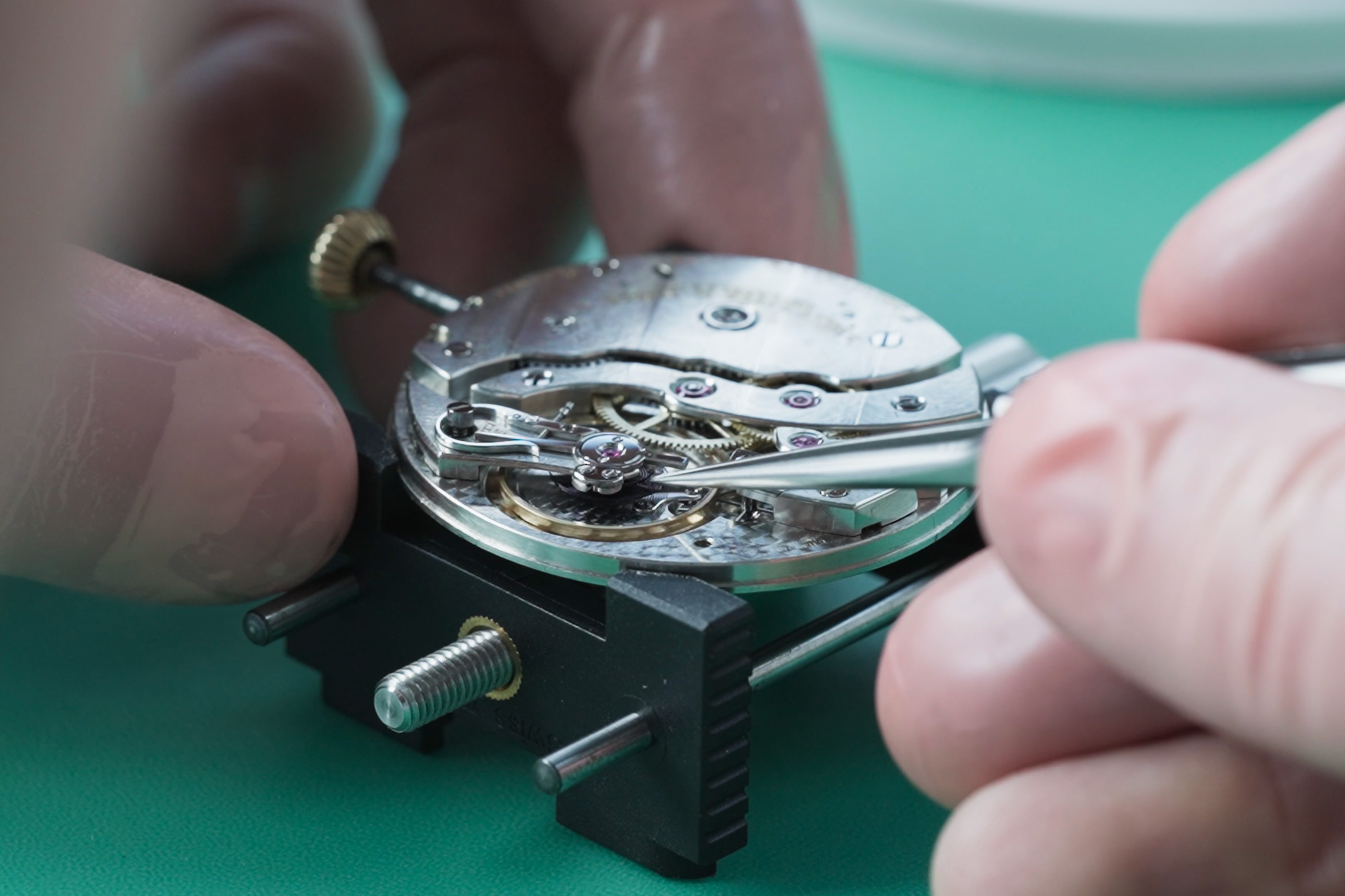 Professional Services | Wristcheck