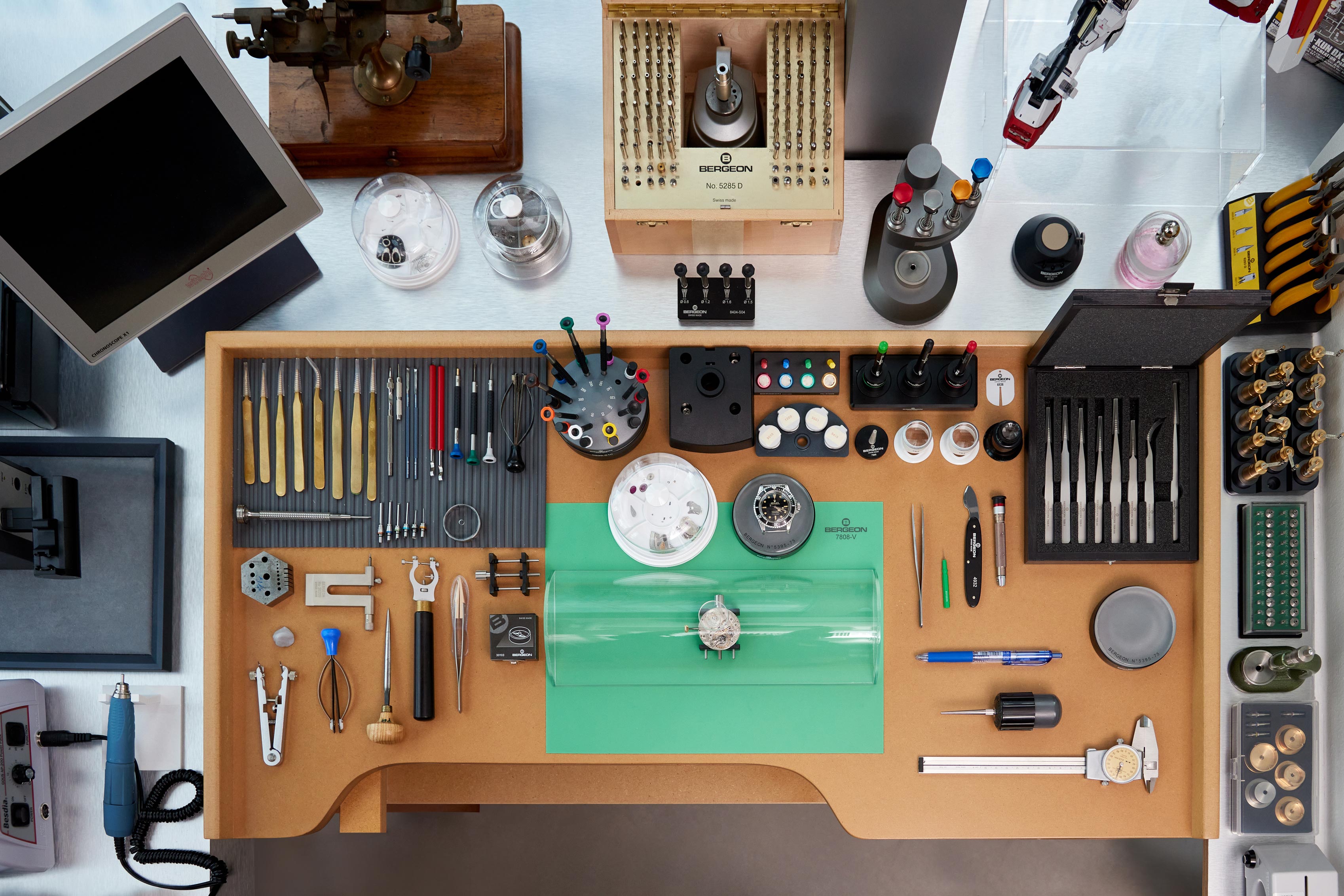 Professional Services | Wristcheck