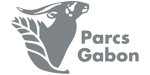 Mbaza AI for Biodiversity Monitoring