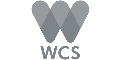 Mbaza AI for Biodiversity Monitoring