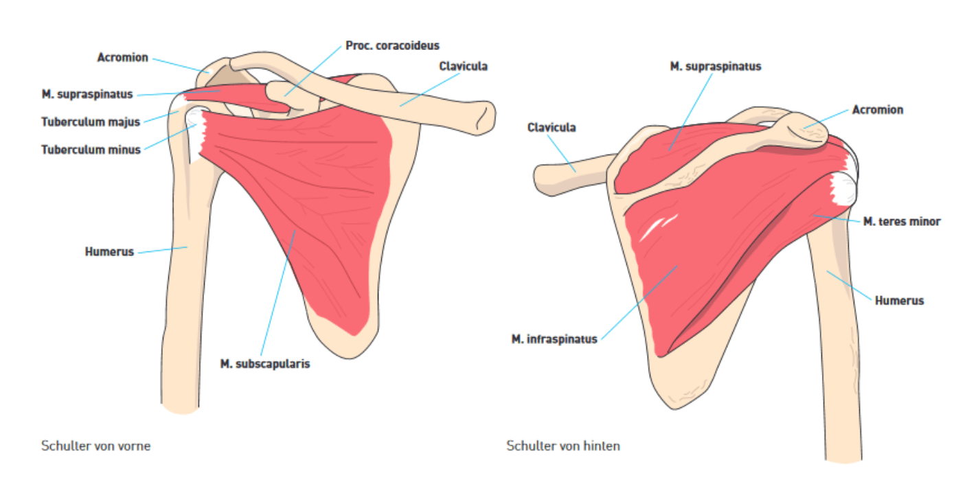 IM FOKUS Magazin: Impingement-Syndrom – Schulter