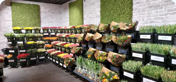 Pagter - Packaging and Presentation Systems for Cut Flowers